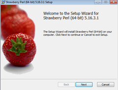 Installing Strawberry Perl in Windows - Thomas-Krenn-Wiki-en