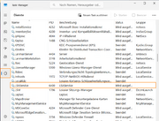 LSA LSI Storage Authority Software - Thomas-Krenn-Wiki-en